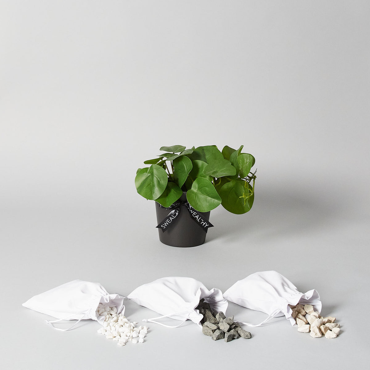 Signature Plant 5 | Faux-Real Pilea Plant – Swealthy